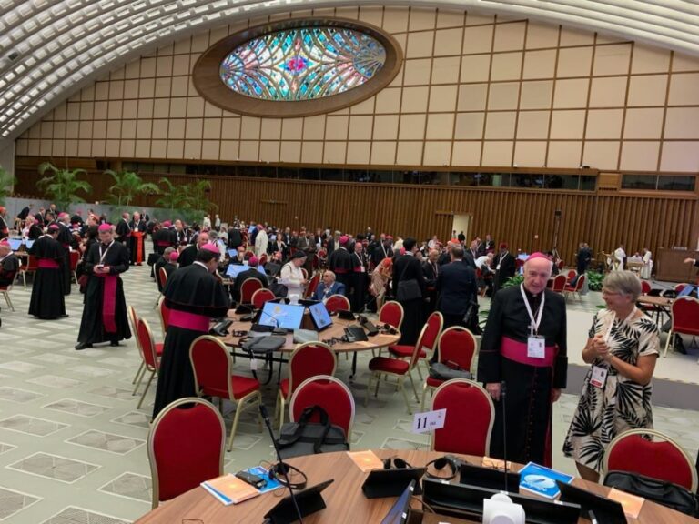 Synode 2023 - diocesedejoliette.org